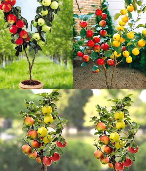 Vielfalt schaffen: Eine Schritt-für-Schritt-Anleitung zum Erstellen ...